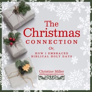 the christmas connection