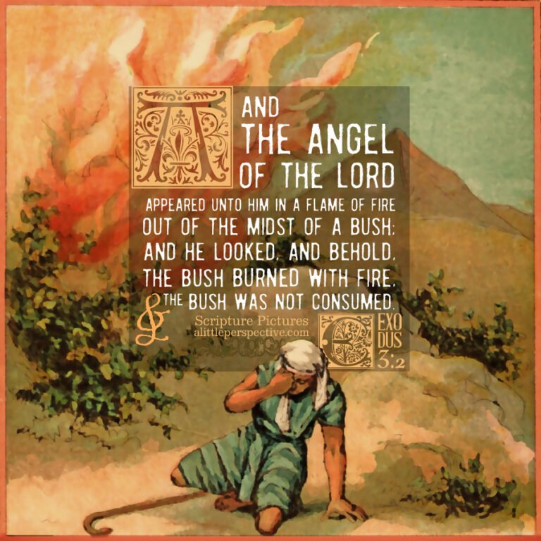 Exodus Scripture Pictures