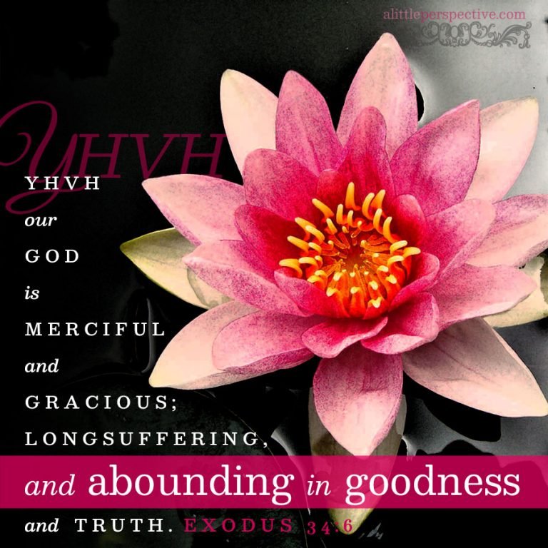 A Little Perspective – Christine Miller