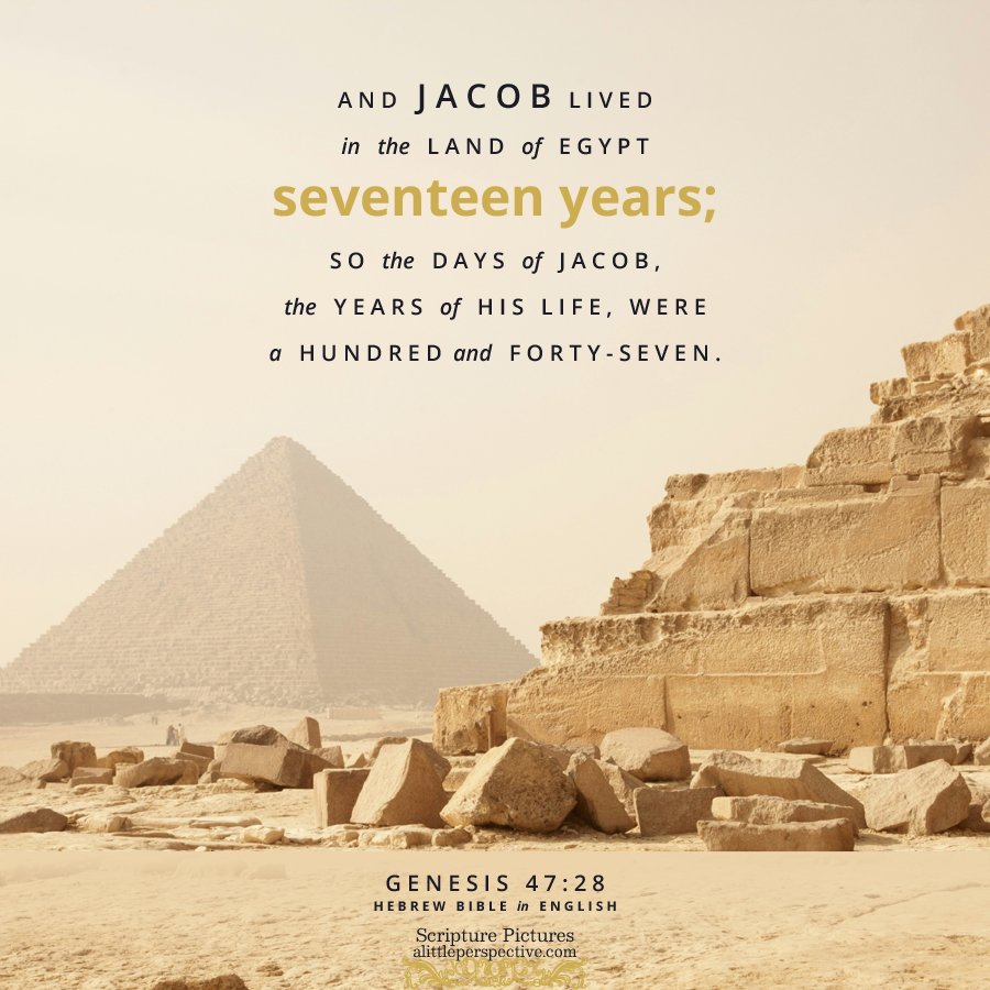 gen-47-28-HBE-unsplash