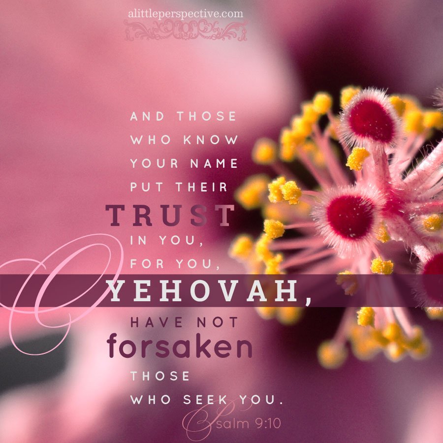 January 09 Bible Reading