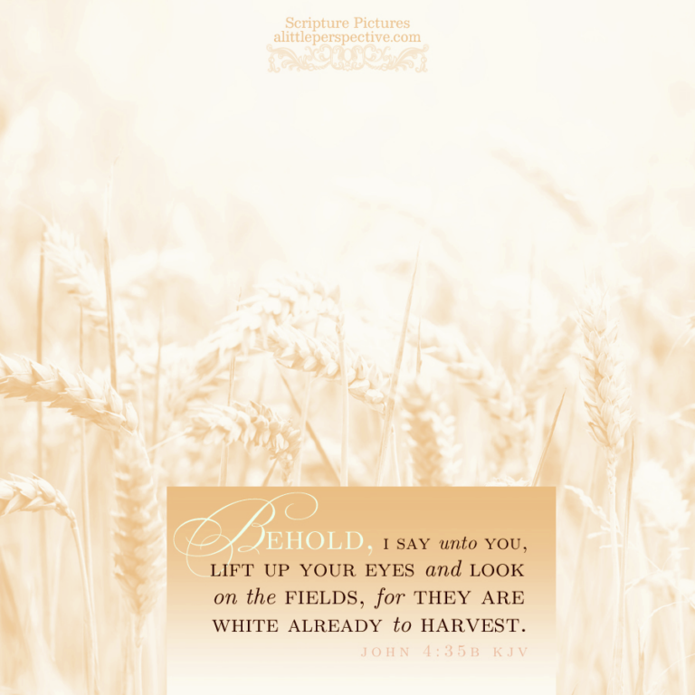 John Scripture Pictures