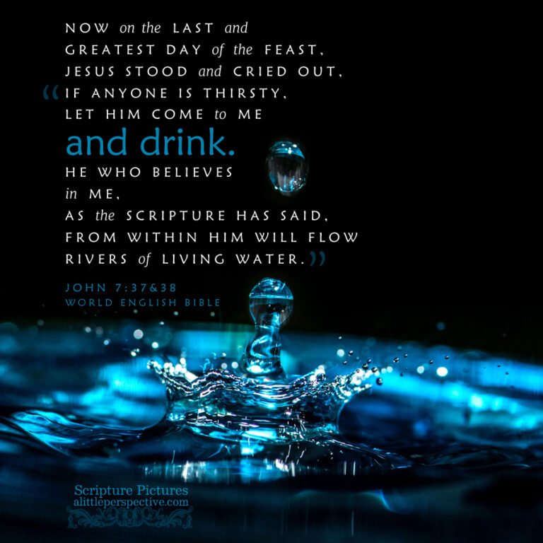john 7