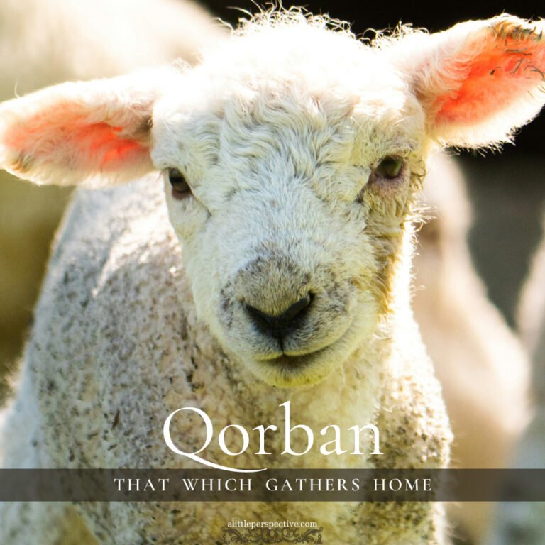 Qorban, That Which Gathers Home