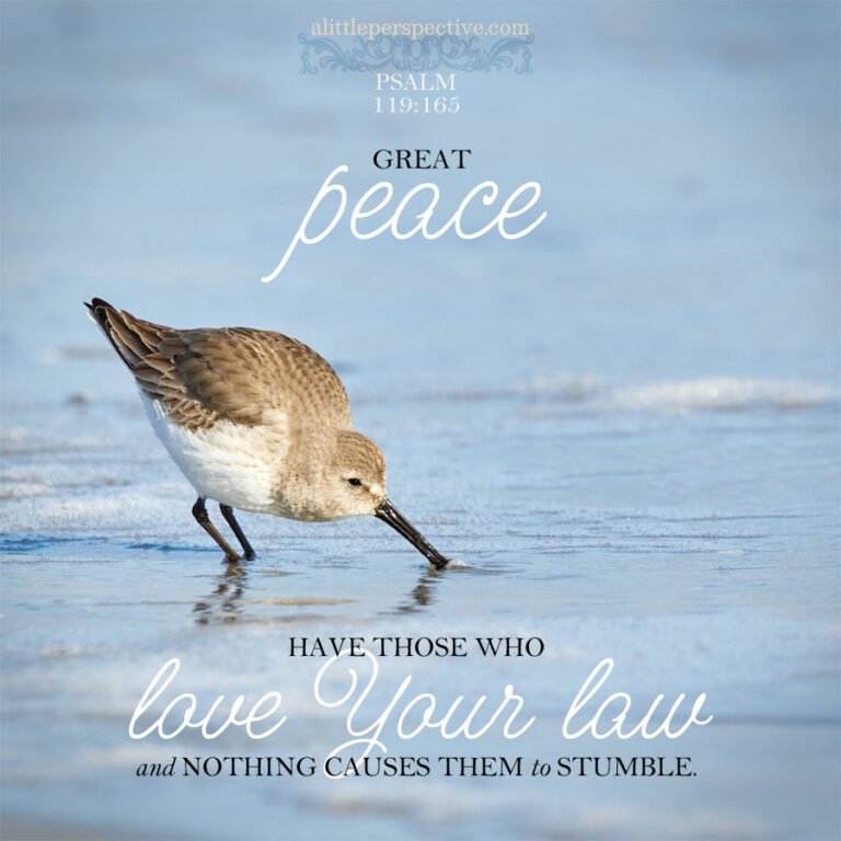 Psalm 119 Chiastic Structure Part One psalm-119-chiastic-structure-part-one