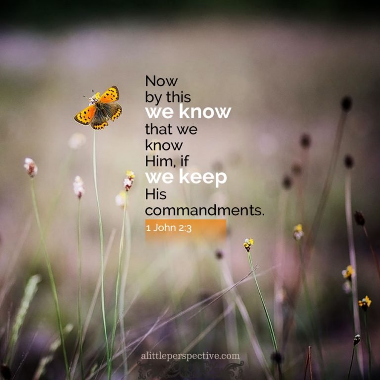 November 20 Bible Reading