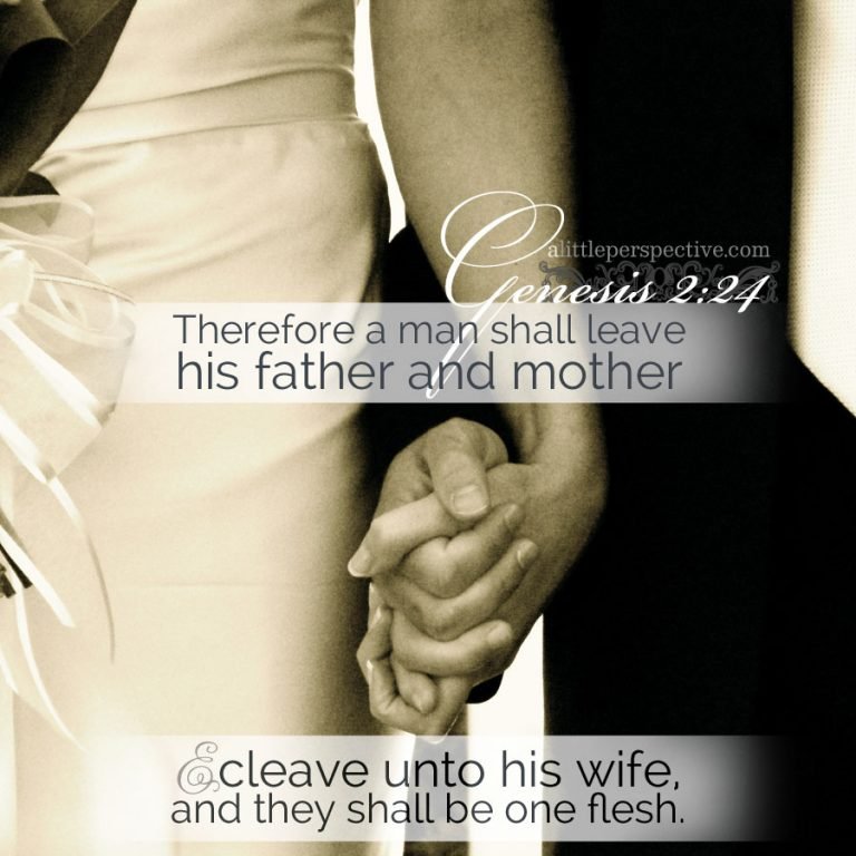 Genesis Scripture Pictures