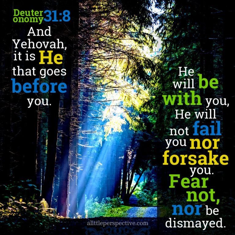 April 23 Bible Reading