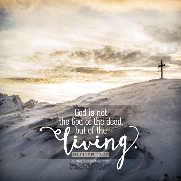 matthew 22