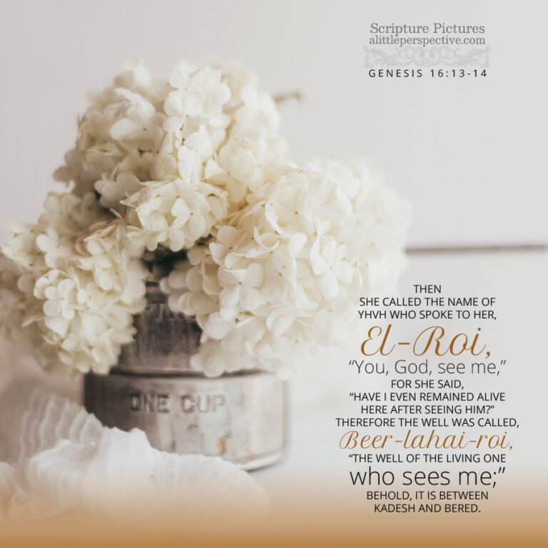 Genesis 16:1-16, Triennial Sarai Eshshet, “Sarai his wife” Outline