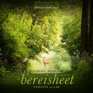 finding messiah in bereisheet, gen 1:1-6:8
