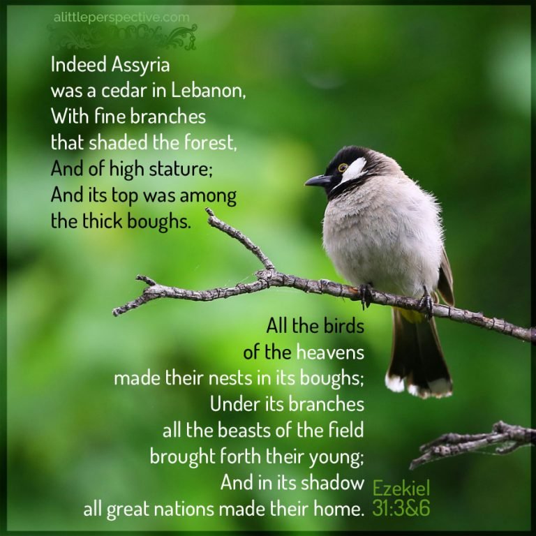 Ezekiel Scripture Pictures