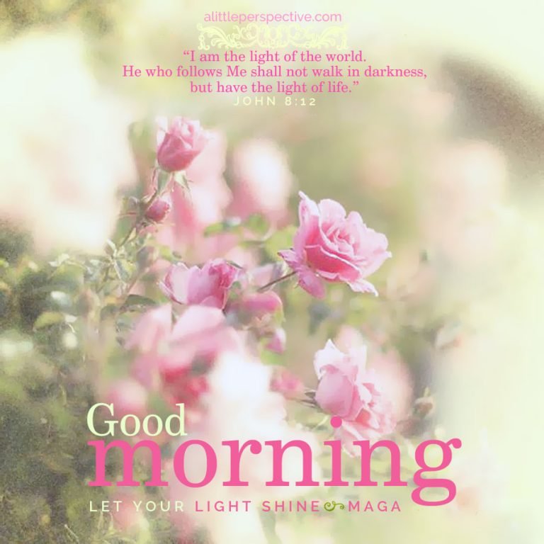 good morning pinks