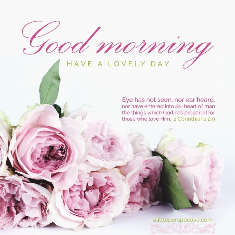 good morning pinks