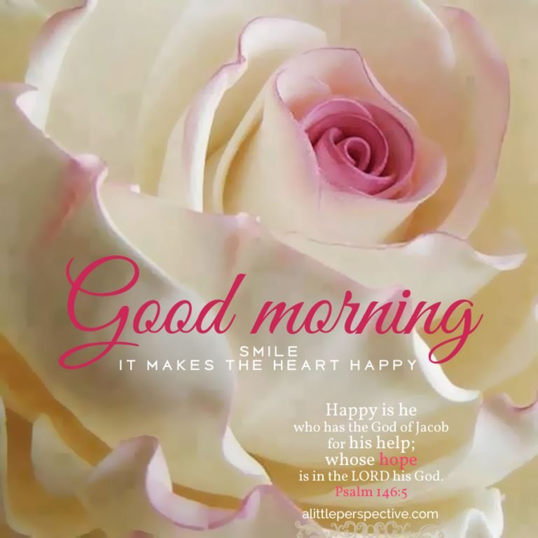 good morning pinks