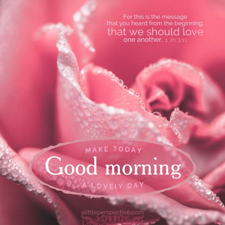 good morning pinks
