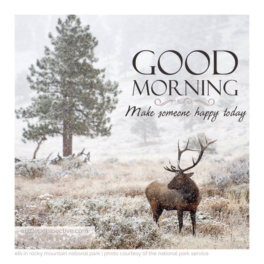 good-morning-08