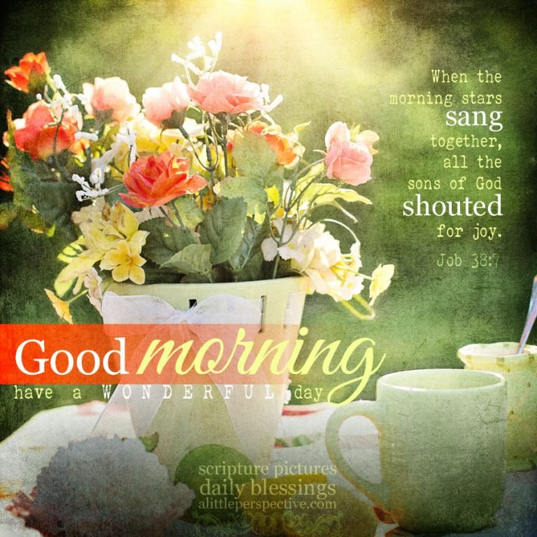 good morning galleries