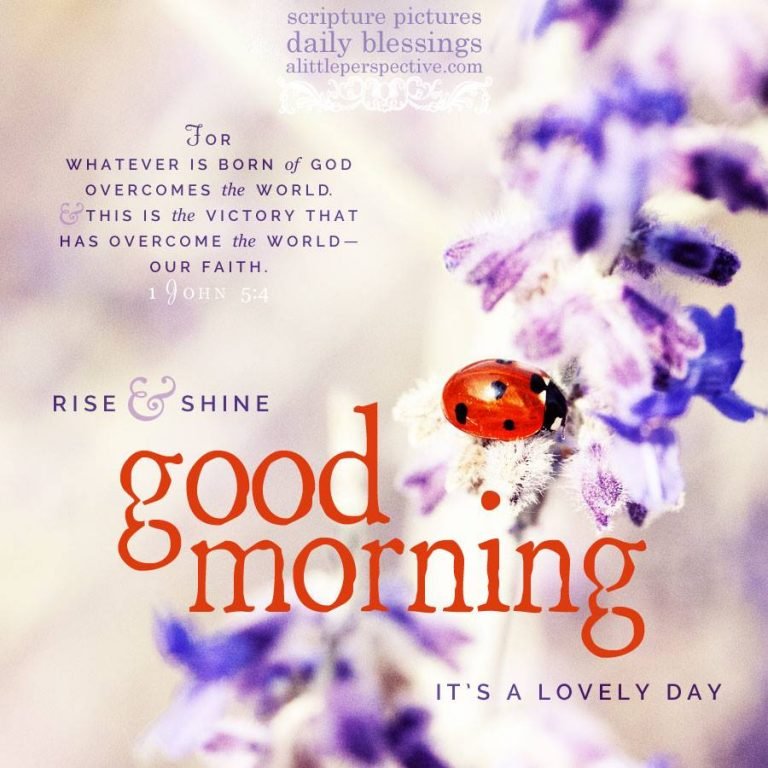 good morning purples