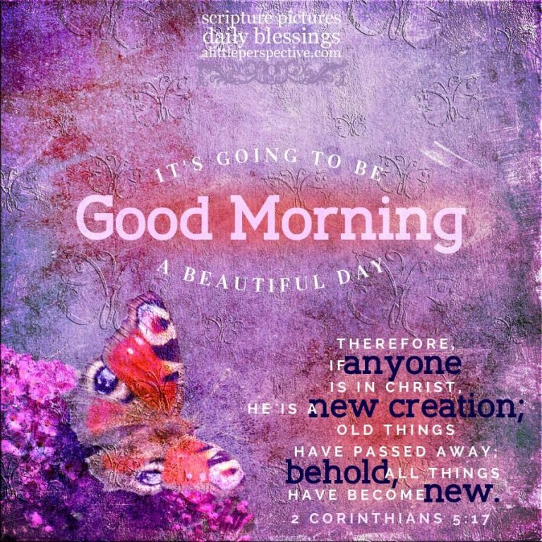 good morning purples