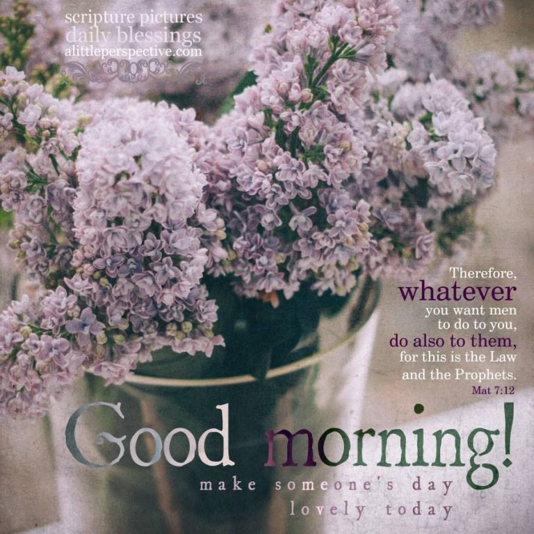 good morning purples