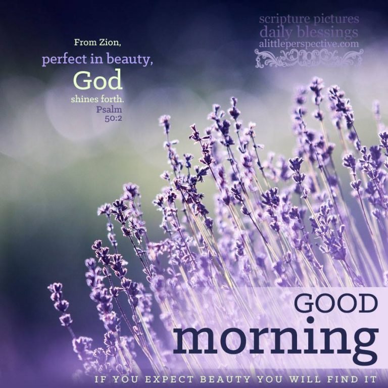 good morning purples