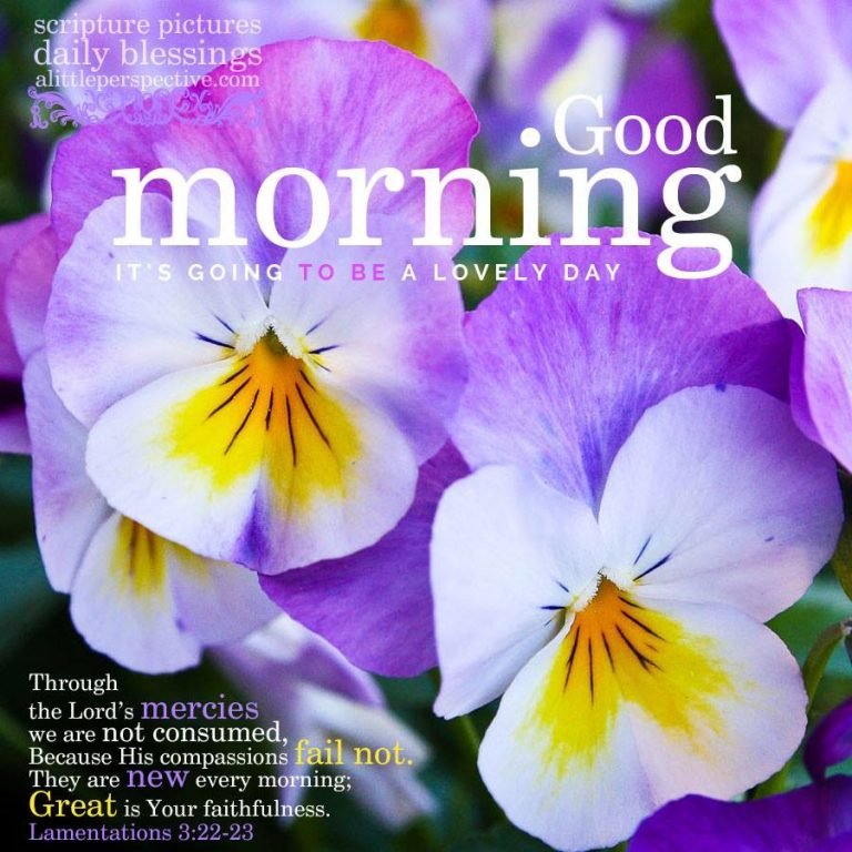 good morning purples
