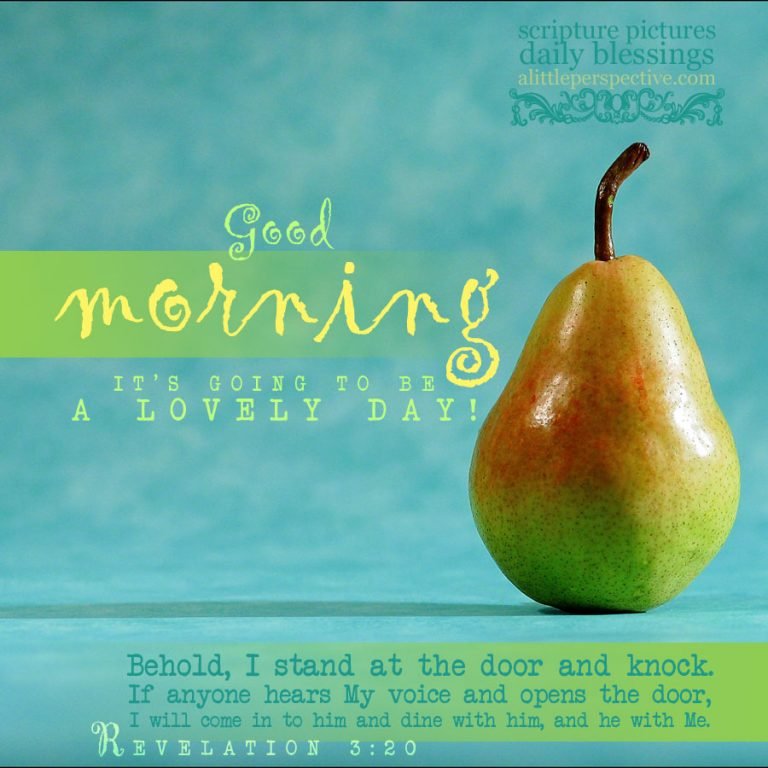 good-morning-turquoise-03