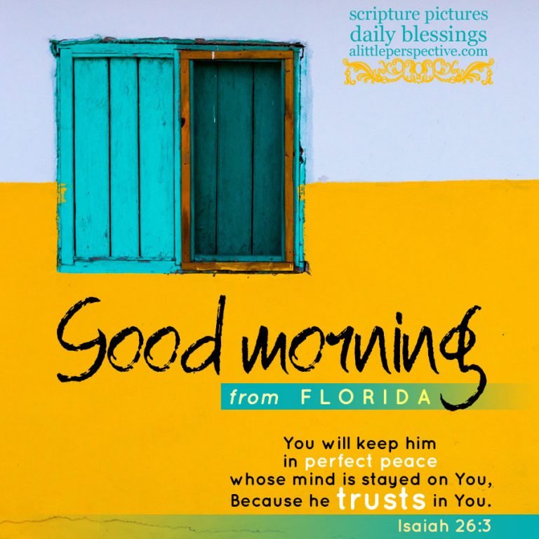 good-morning-turquoise-05