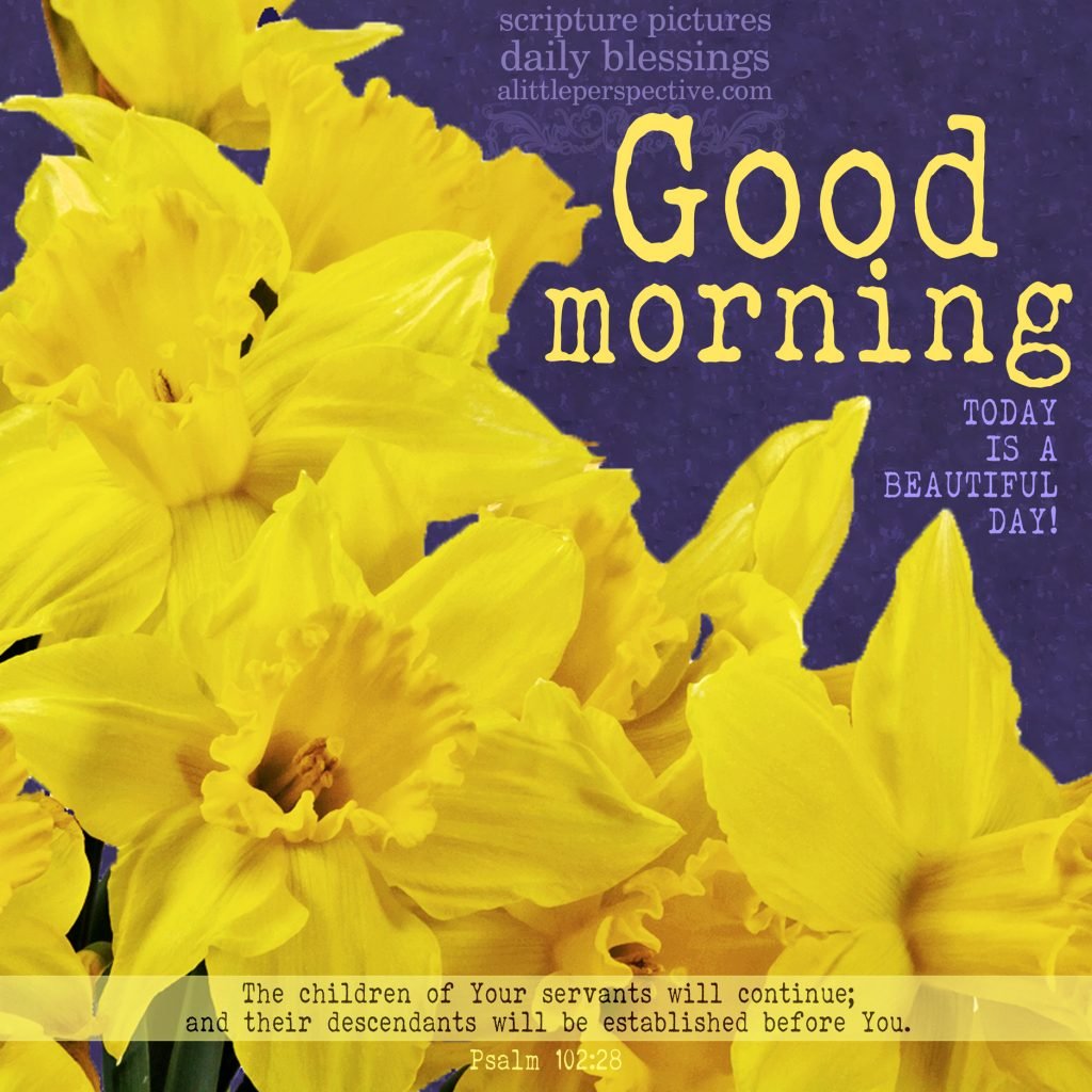 good morning yellows
