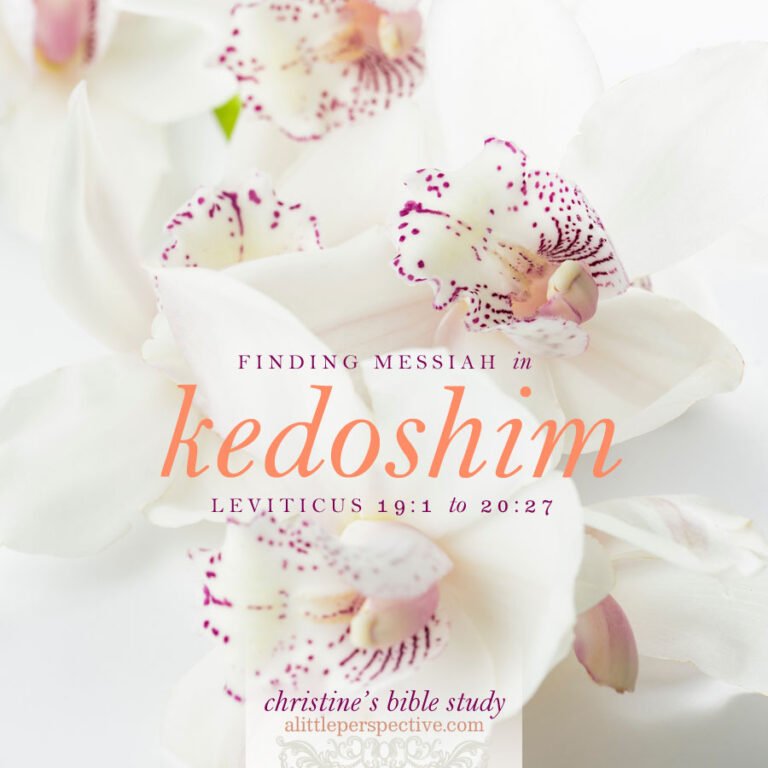 Finding Messiah in Kedoshim