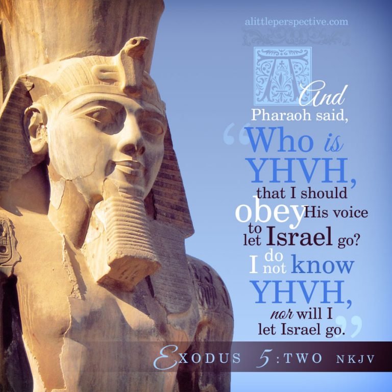 Exodus Scripture Pictures