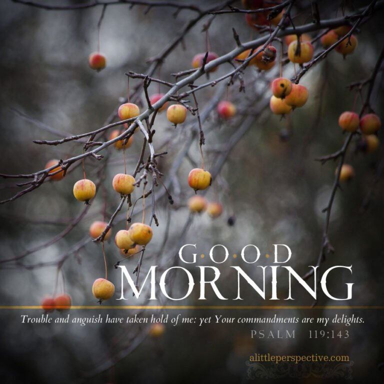 good-morning-brown-08x