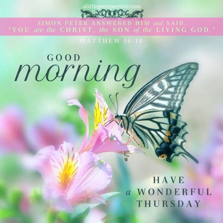 good morning pastels