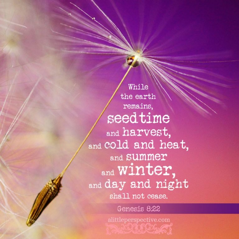 gen-8-22-JPS-pexels-9x