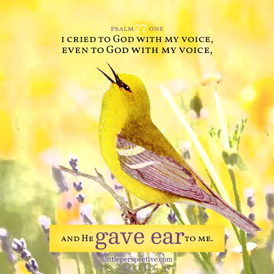 Psalm 77 Meditation Psalm 77 Meditation