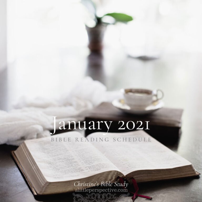 January 2021 Bible Reading Schedule
