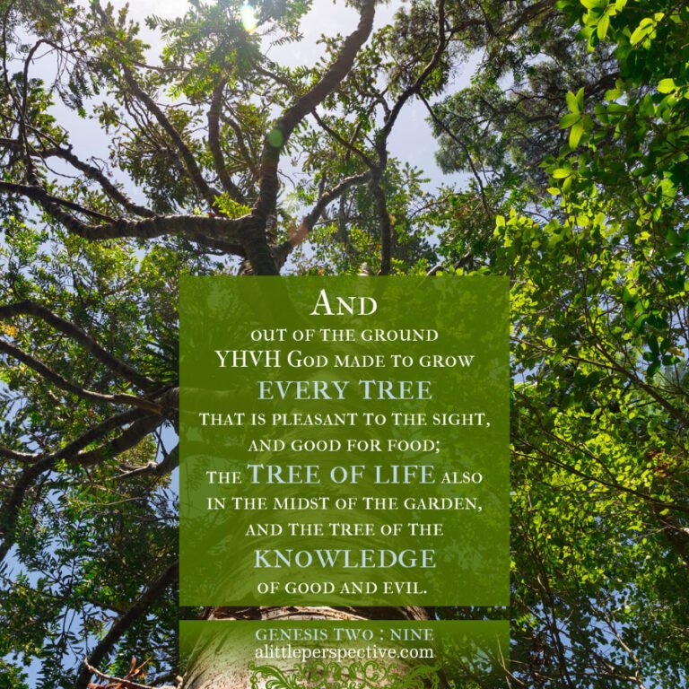 Genesis 2:9, The tree of life