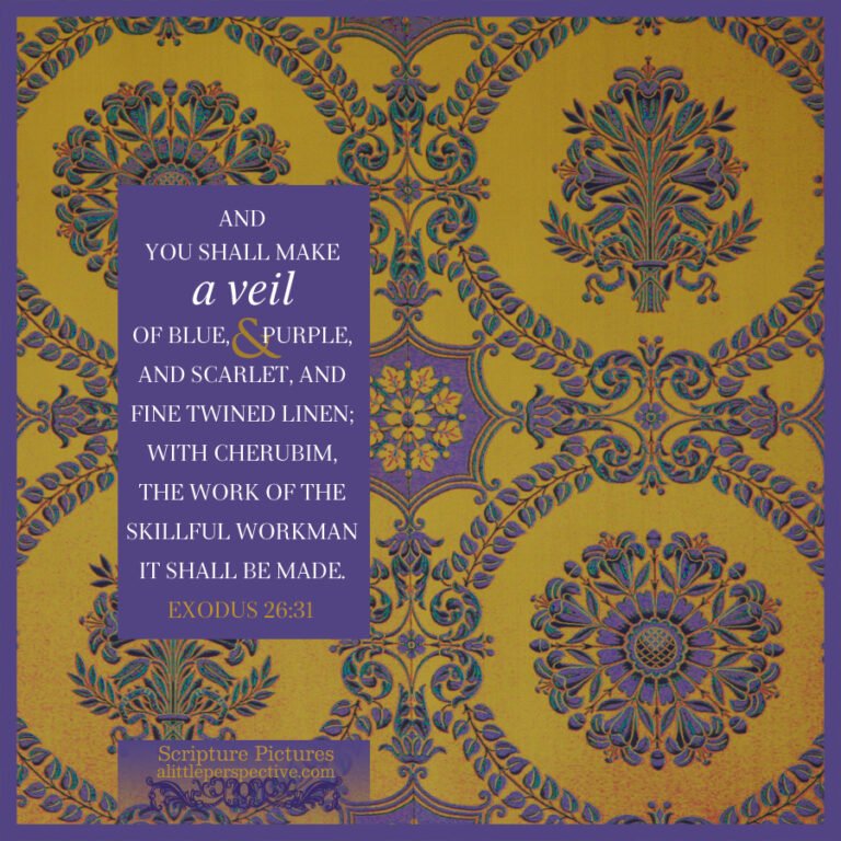 Exodus 26:31-27:19, Triennial Parachet, “Partition,” Outline