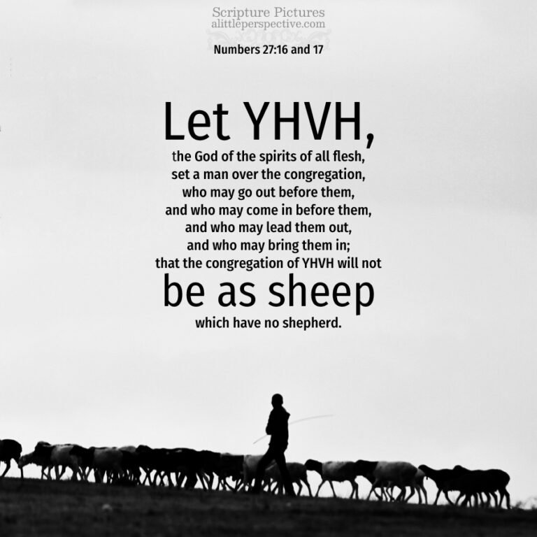 Numbers 26:52-27:23, Triennial L’eleh, “To these” Outline