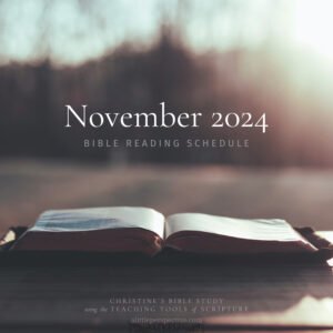 November 2024 Bible Reading Schedule