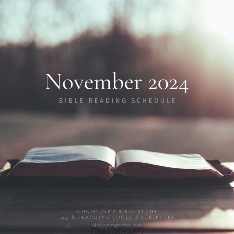 November 2024 Bible Reading Schedule