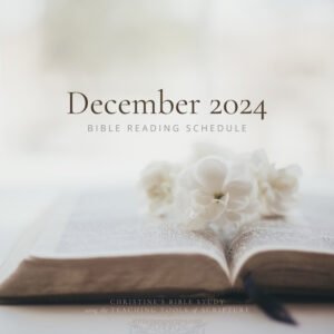 December 2024 Bible Reading Schedule