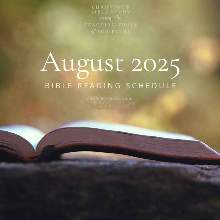 August 2025 Bible Reading Schedule