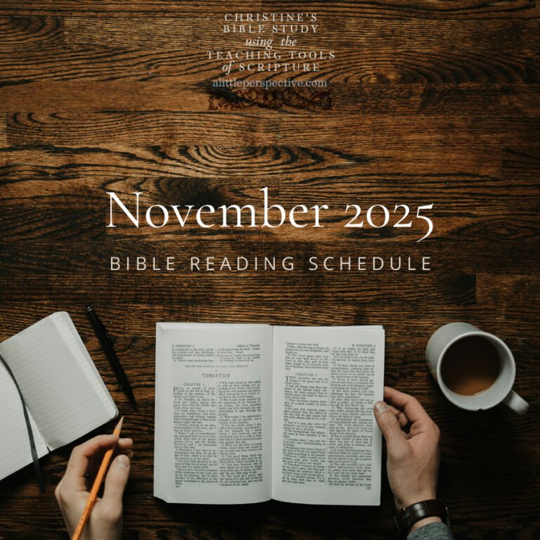 November 2025 Bible Reading Schedule