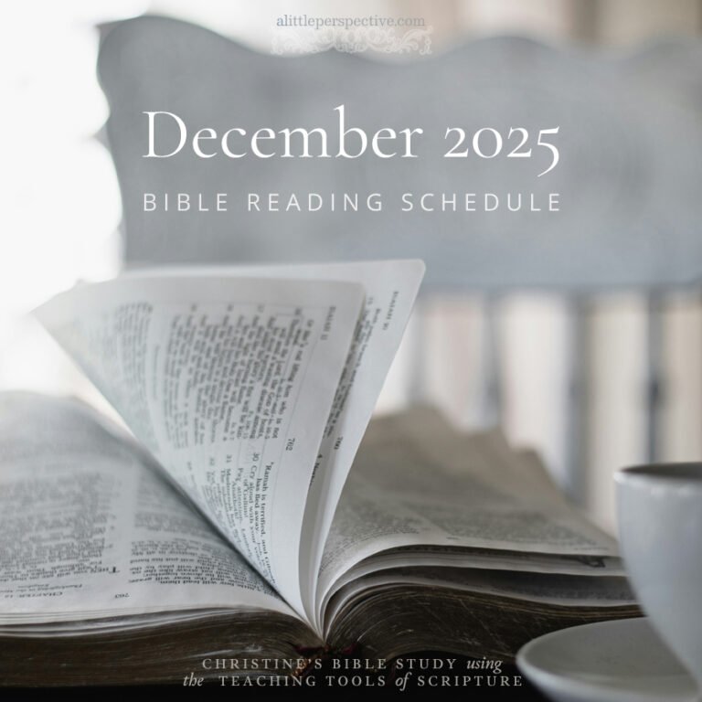 December 2025 Bible Reading Schedule