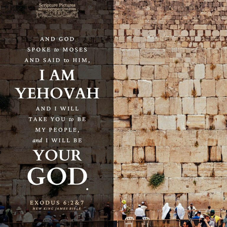January 17 Bible Reading